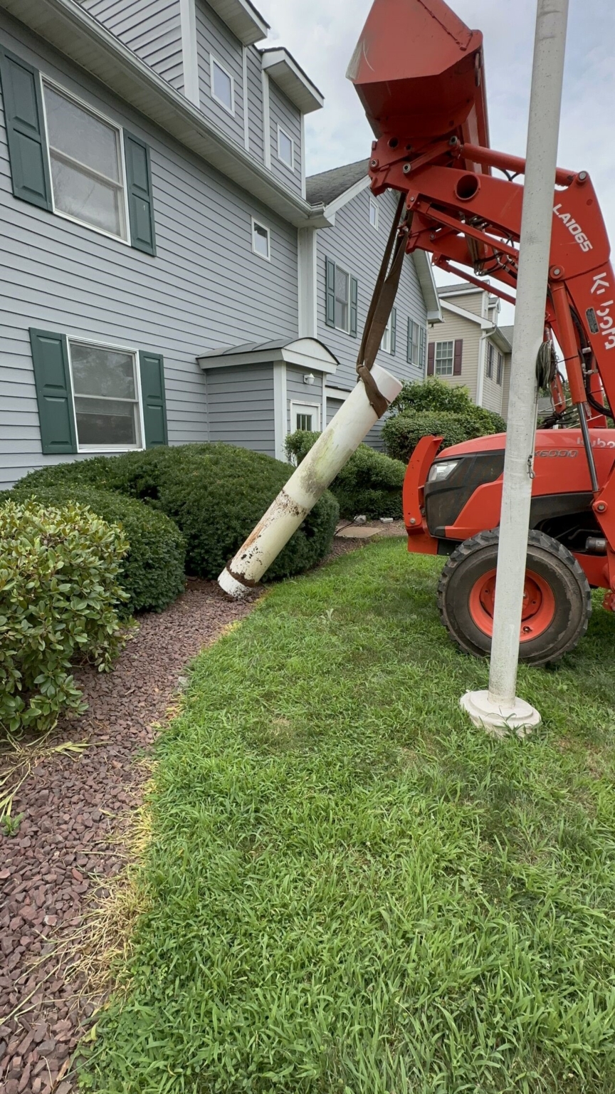 Unveiling the Time Capsule of Natural Systems Utilities - Natural ...